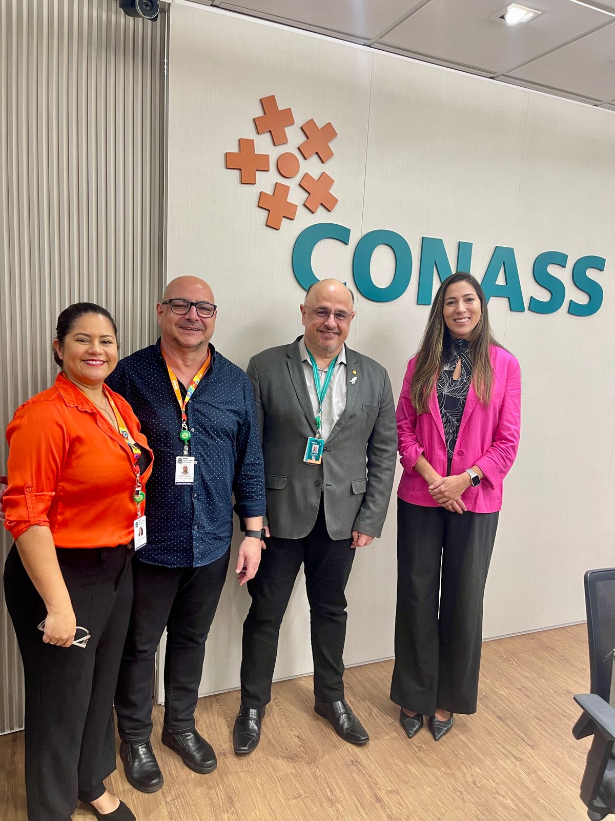 SEIDIGI participa de Câmara Técnica do CONASS para evolução em TIC do ...